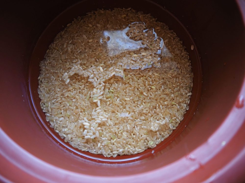 Soaking Rice for Improved Digestion and Nutrition – Hearthwilde